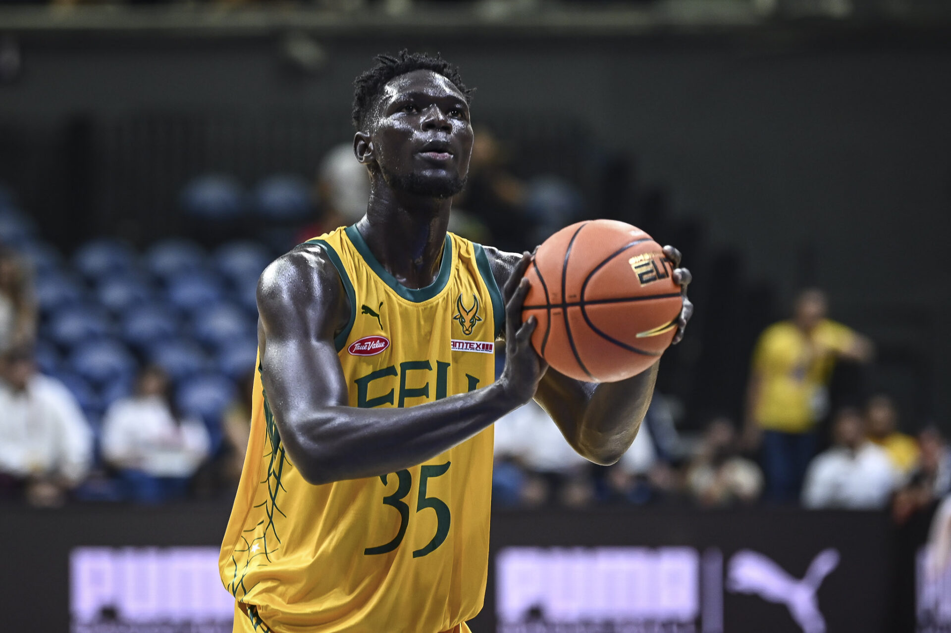 UAAP Season 87 FSAs: Who Has Impressed Early On?